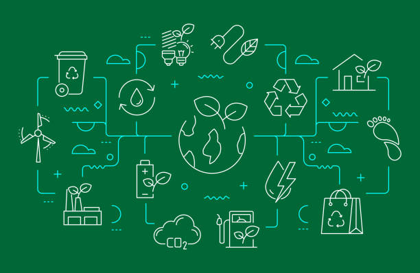 Comment être eco responsable en entreprise